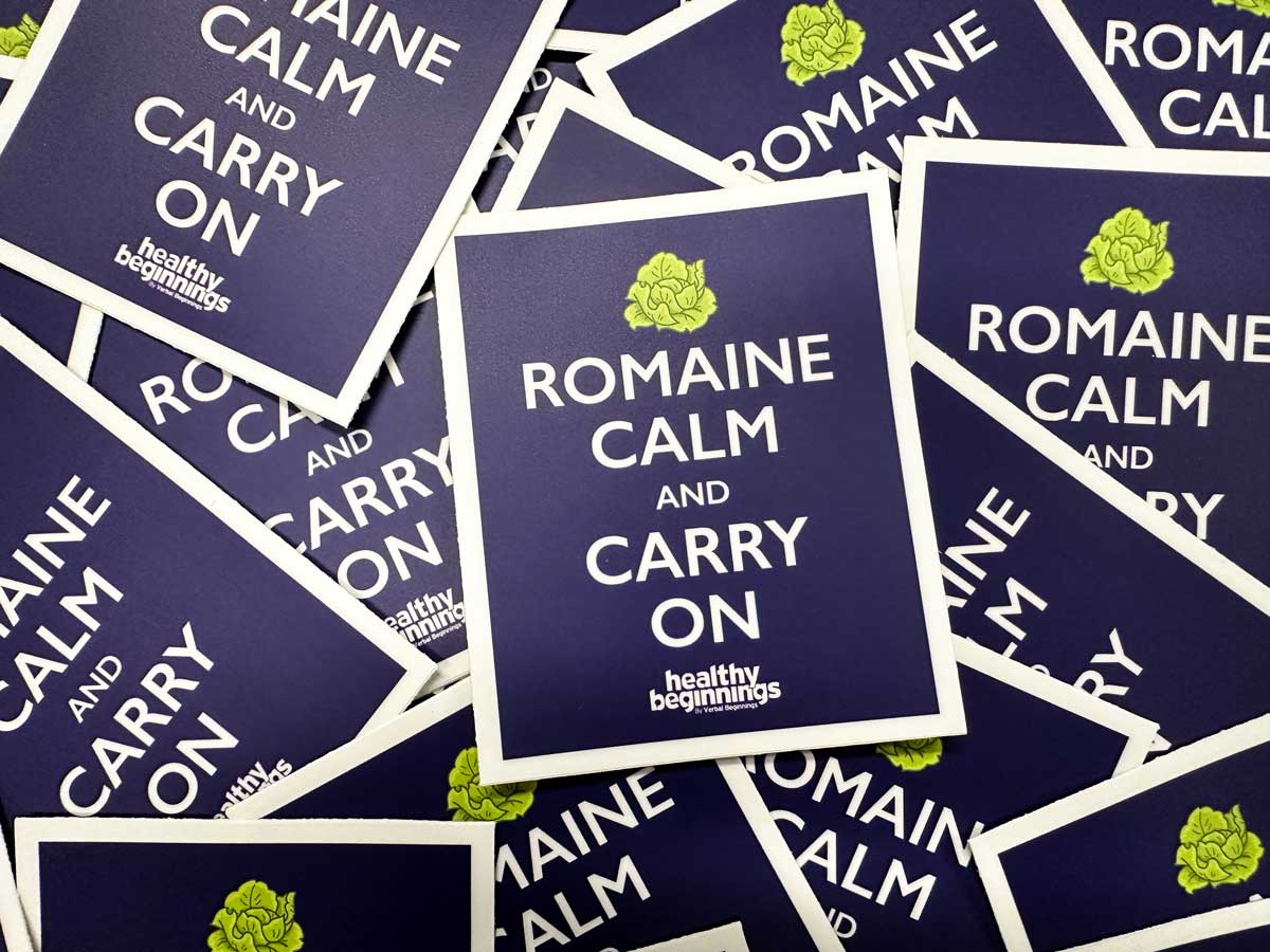 hb merch 2024 08 - Verbal Beginnings